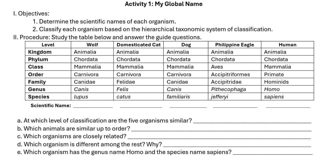 Activity 1: My Global Name I. Objectives: 1. | StudyX