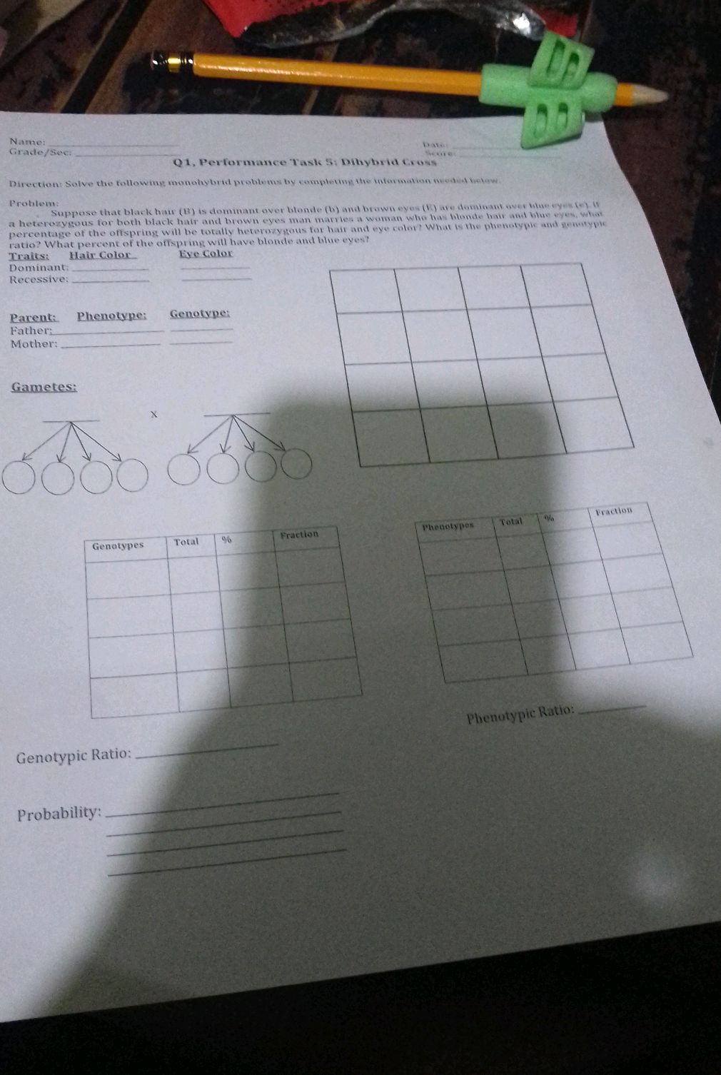 Q1, Performance Task 5: Dihybrid Cross | StudyX