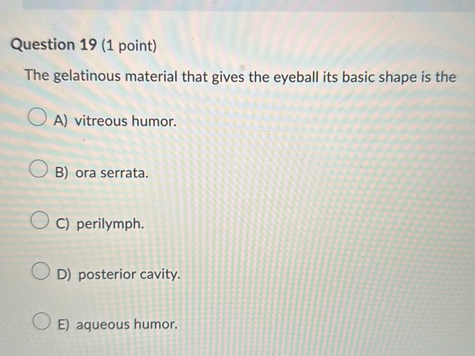 The gelatinous material that gives the | StudyX