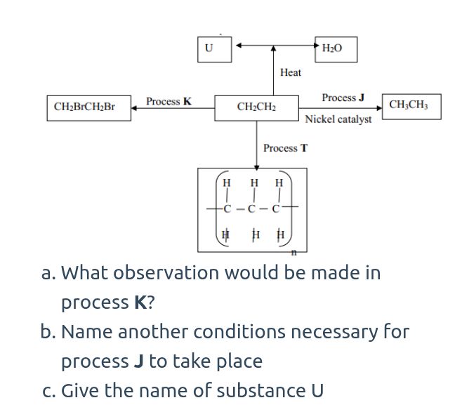 a. What observation would be made in process | StudyX
