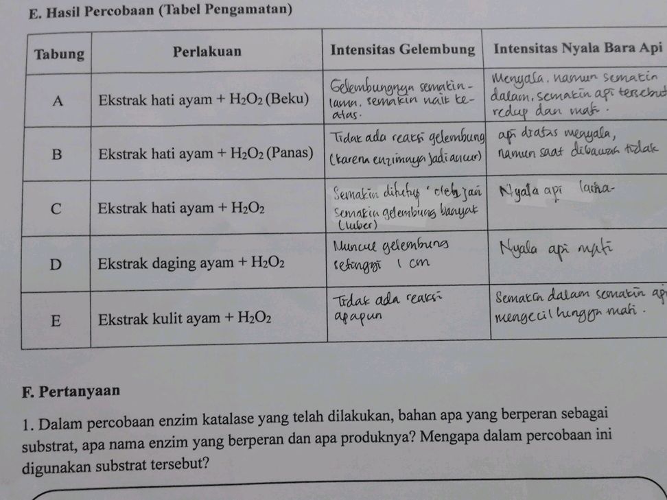E. Hasil Percobaan (Tabel Pengamatan) F. | StudyX