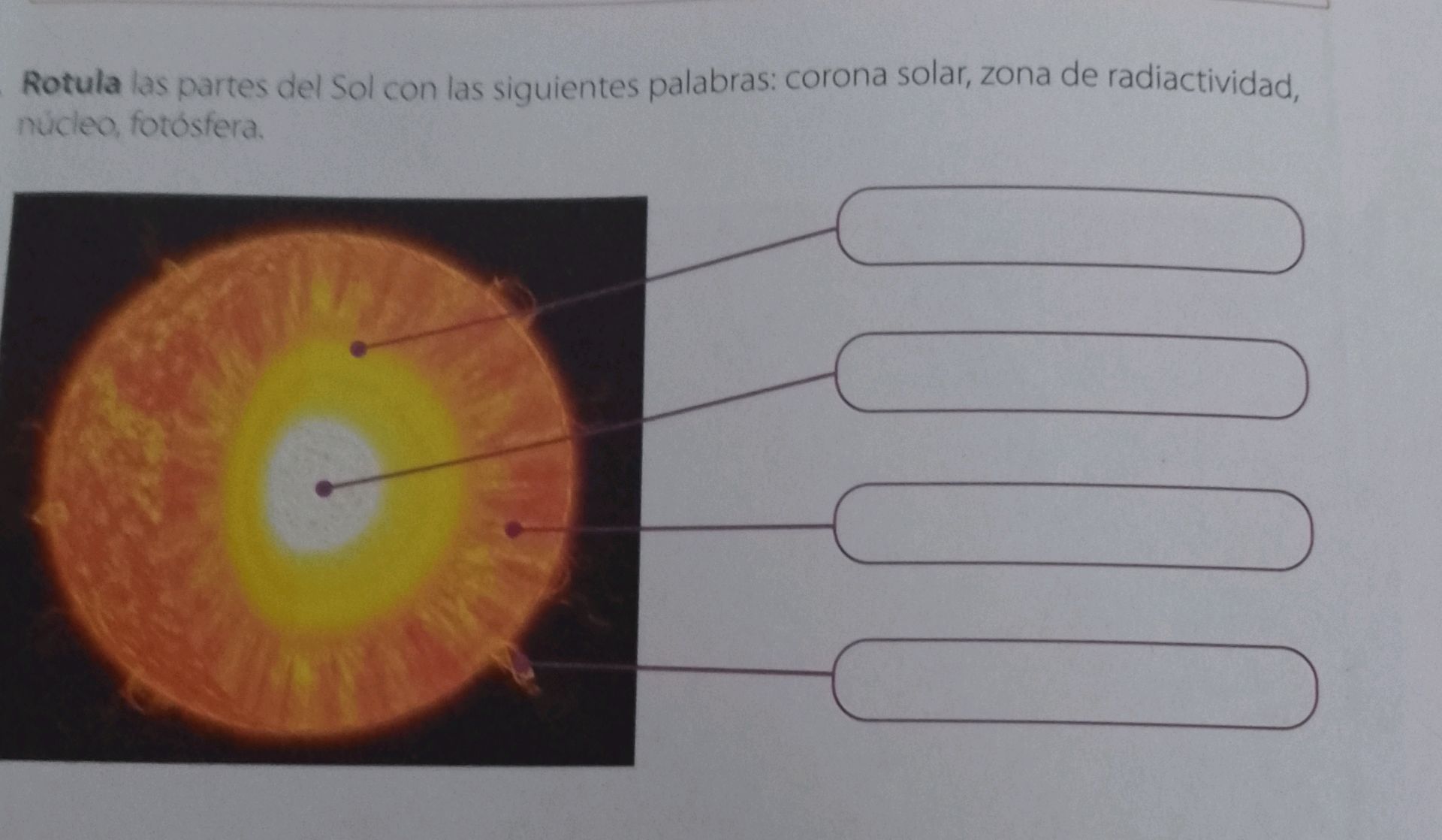 Rotula las partes del Sol con las siguientes | StudyX
