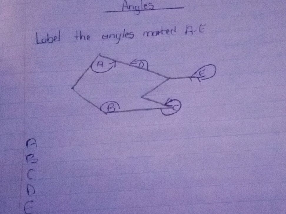 Label the angles marked A-E | StudyX