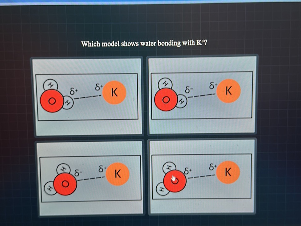 Which model shows water bonding with K+? | StudyX