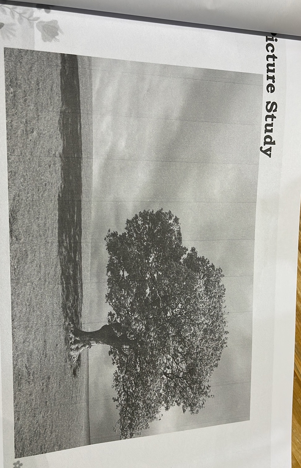 Picture Study Analysis | StudyX