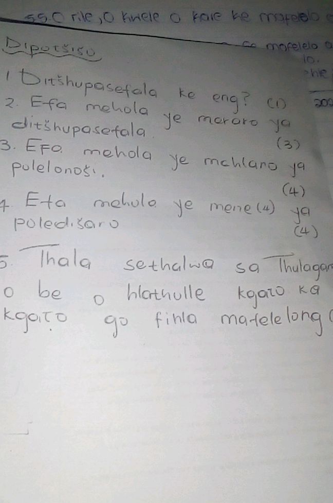 s.5. rile, o kinele o kare ke mafello | StudyX