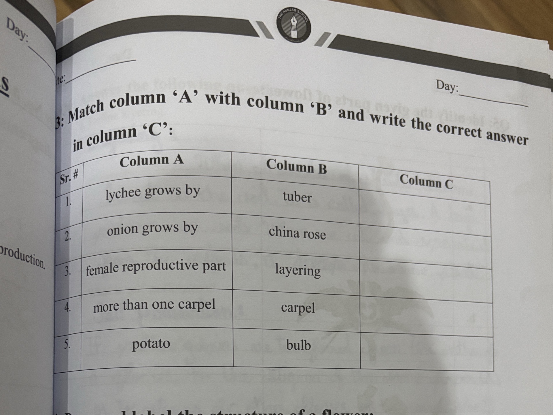 3: Match column 'A' with column 'B' and | StudyX