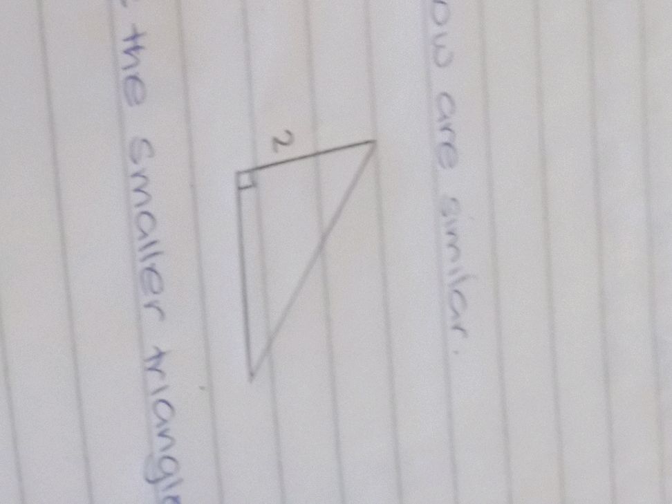 Similar Triangles | StudyX