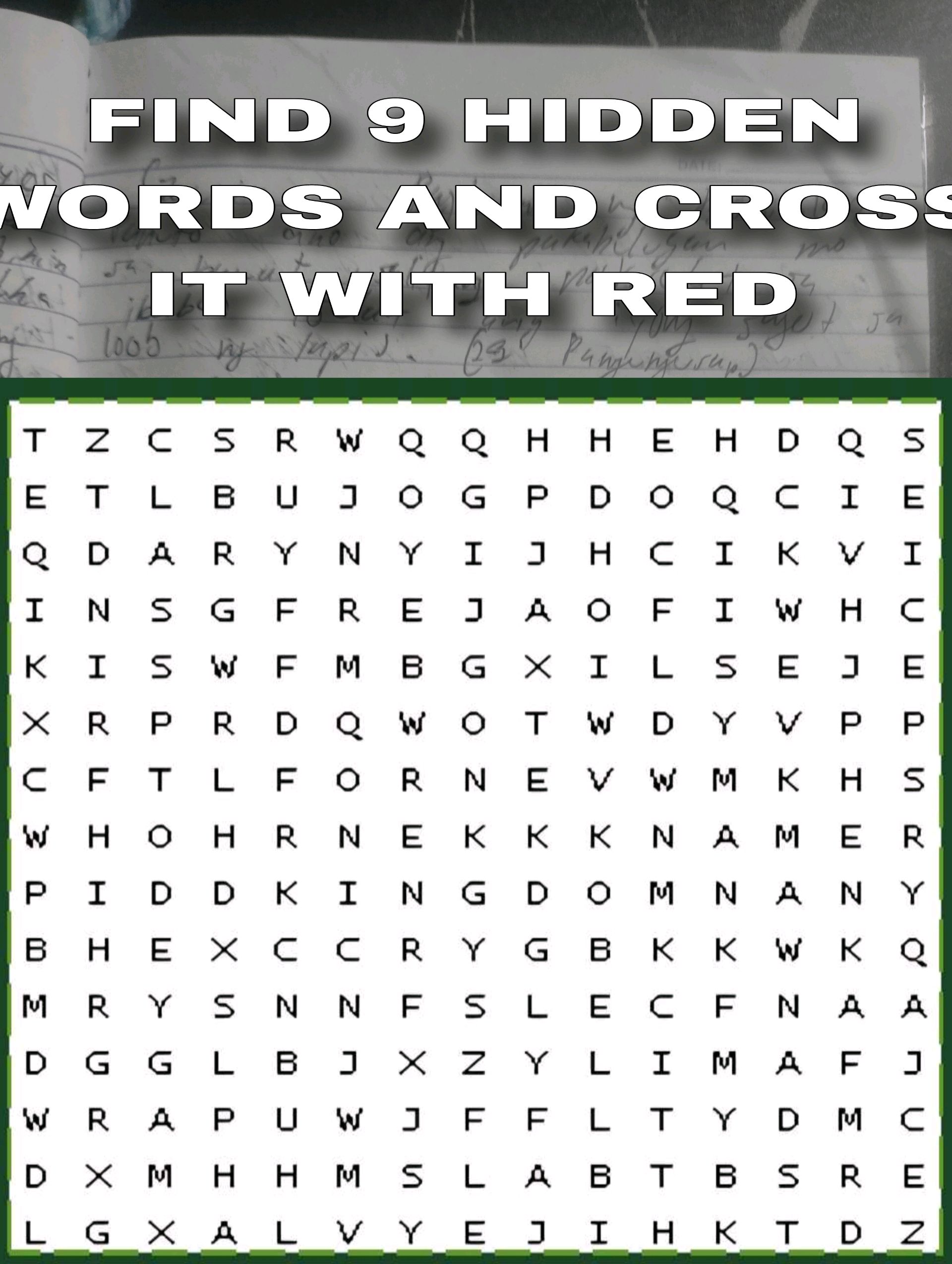 FIND 9 HIDDEN WORDS AND CROSS IT WITH RED T | StudyX