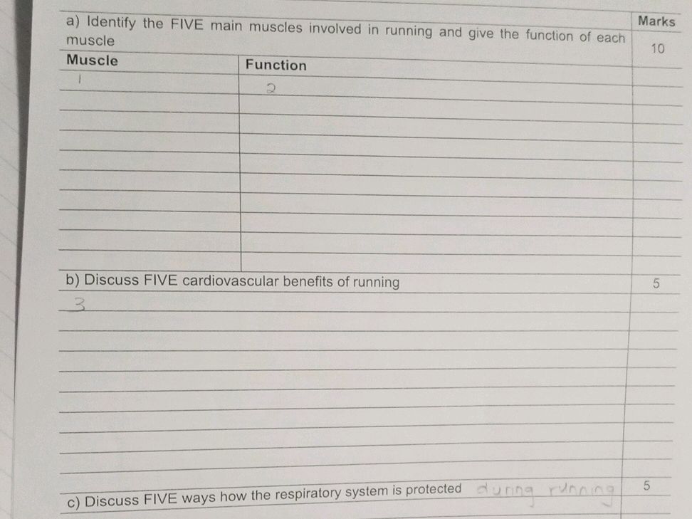 a) Identify the FIVE main muscles involved | StudyX