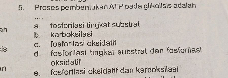 5. Proses pembentukan ATP pada glikolisis | StudyX