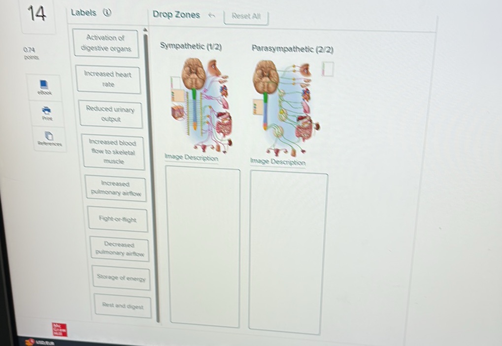 Match the following labels to the correct | StudyX