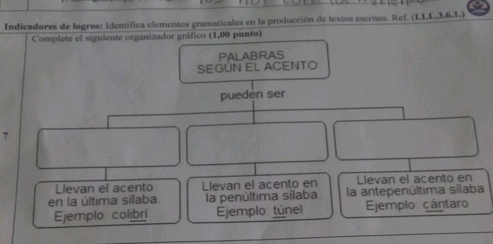 Complete el siguiente organizador gráfico | StudyX