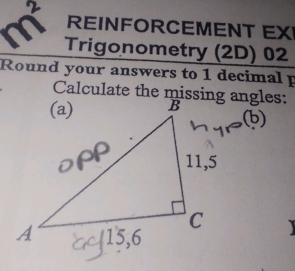 Calculate the missing angles: (a) (b) ``` | StudyX