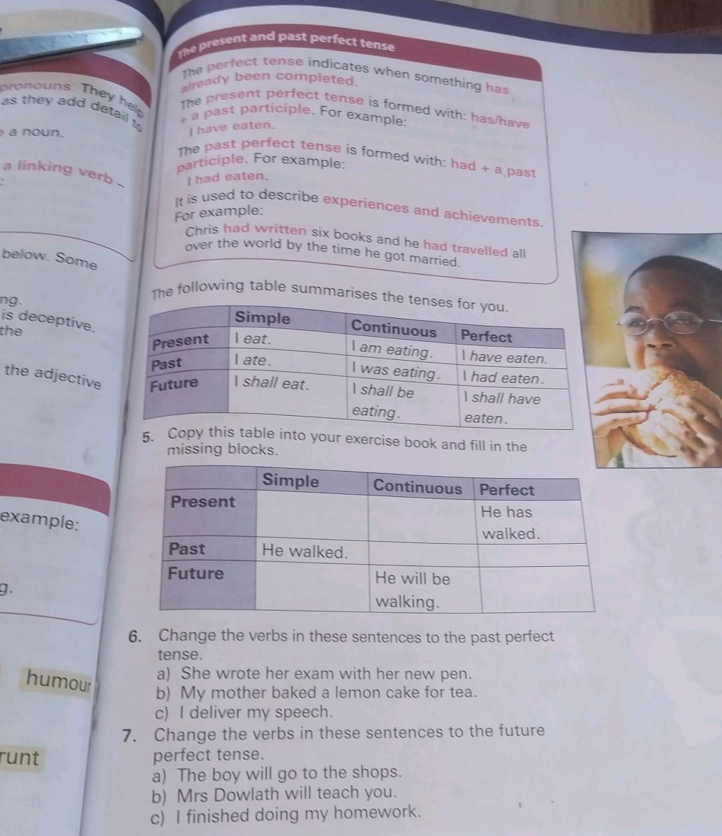 The present and past perfect tense The | StudyX