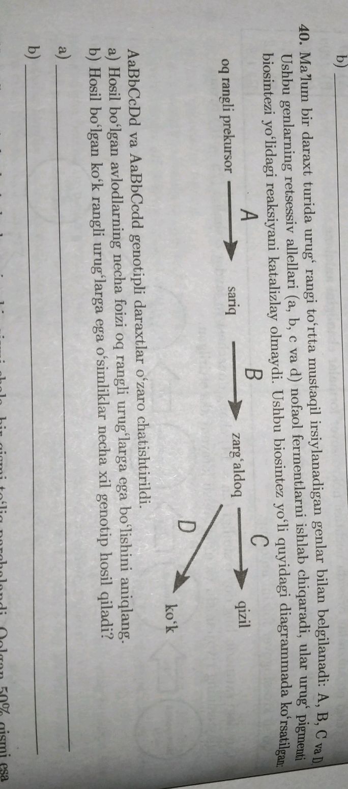 40. Ma'lum bir daraxt turida urug' rangi | StudyX