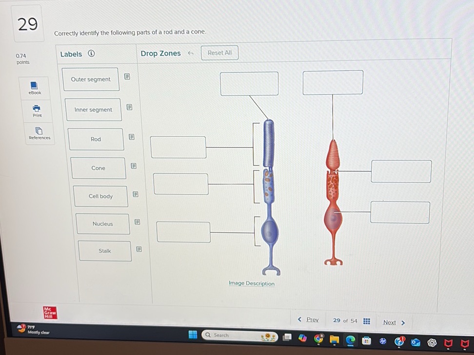 Correctly identify the following parts of a | StudyX