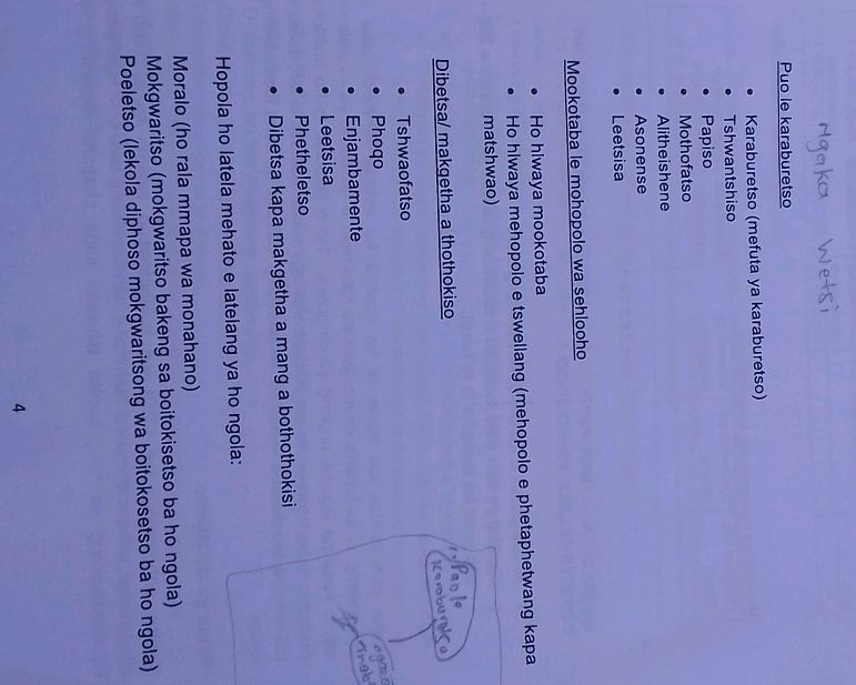 Puo le karaburetso Karaburetso (mefuta ya | StudyX