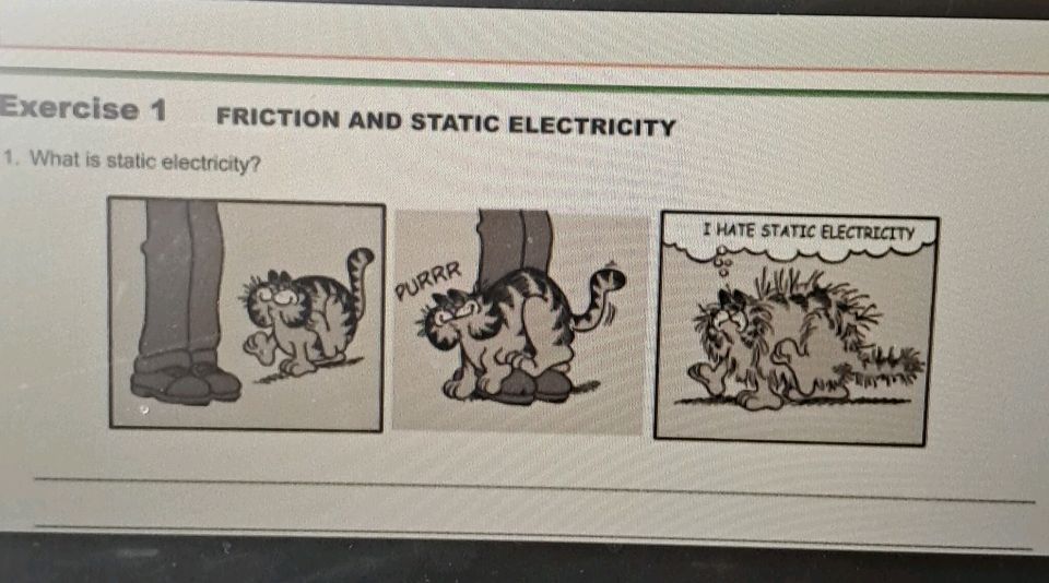 What is static electricity? (Image of a cat