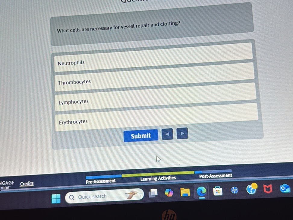 What cells are necessary for vessel repair | StudyX