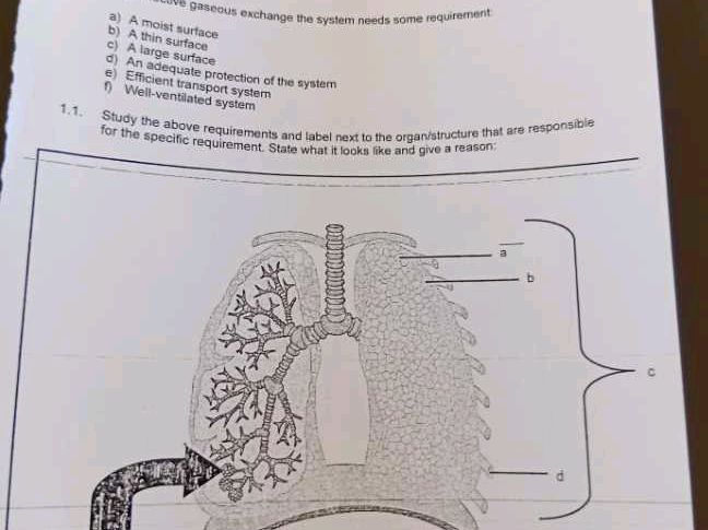 a) A moist surface b) A thin surface c) A