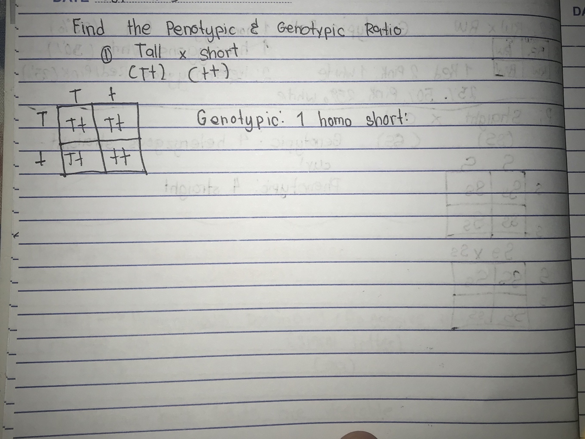 Find the Penotypic Genotypic Ratio ① Tall x