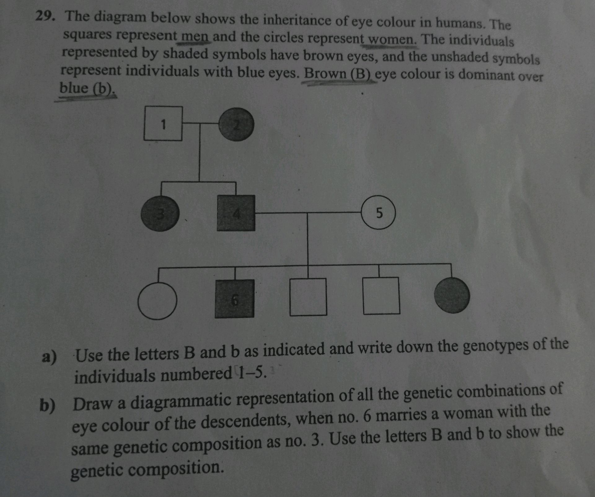 The diagram below shows the inheritance of | StudyX