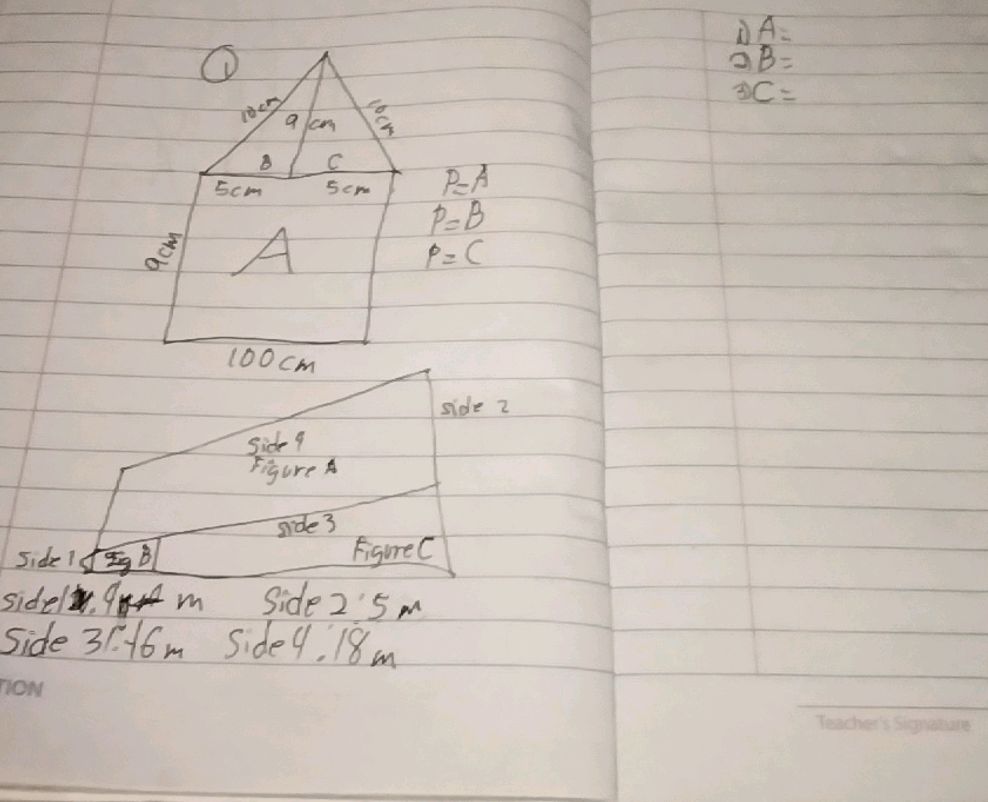 A: B: C: Figure A: | Side 1 | Side 2 | Side