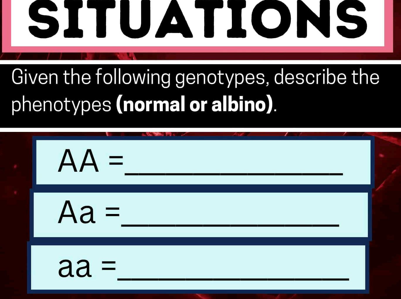 Given the following genotypes, describe the | StudyX