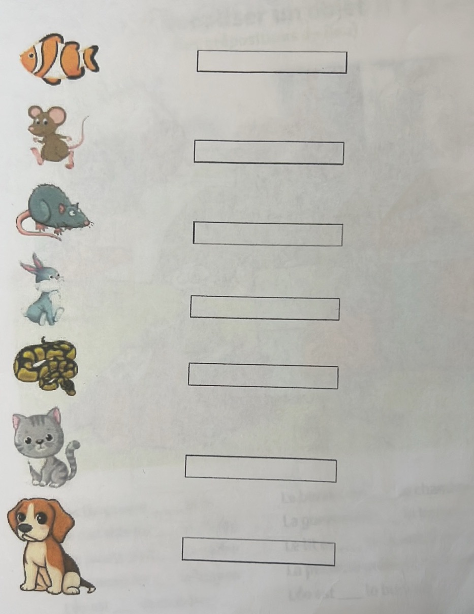 The image shows pictures of animals with | StudyX