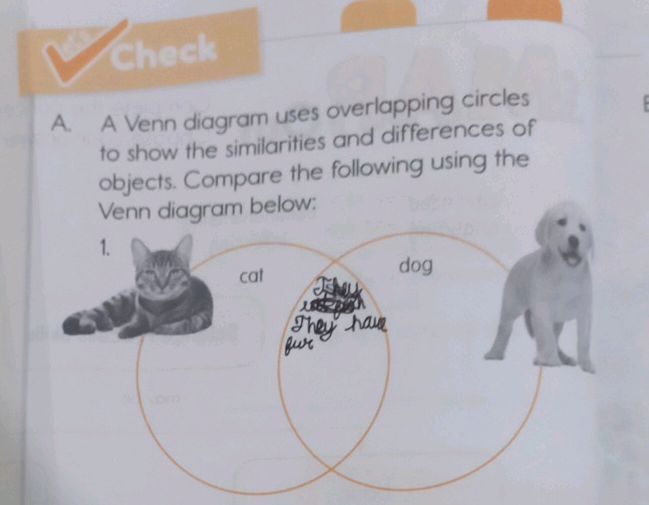 A. A Venn diagram uses overlapping circles | StudyX