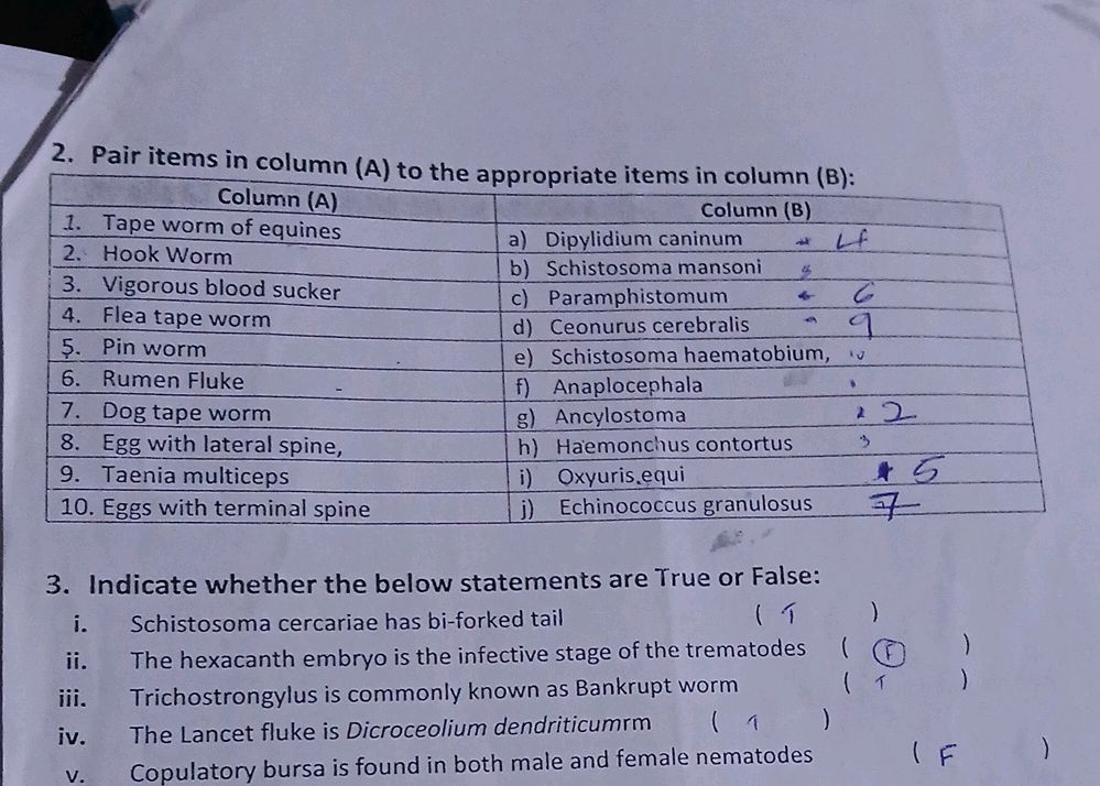 2. Pair items in column (A) to the | StudyX