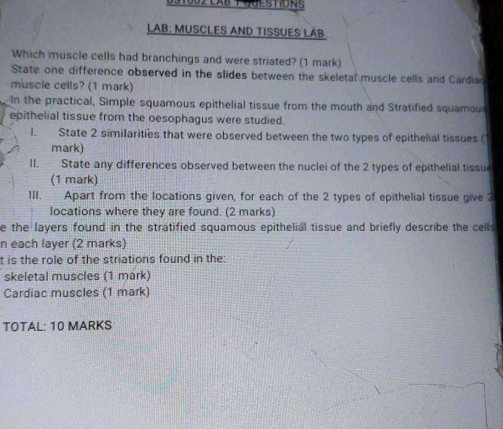 LAB: MUSCLES AND TISSUES LAB Which muscle | StudyX