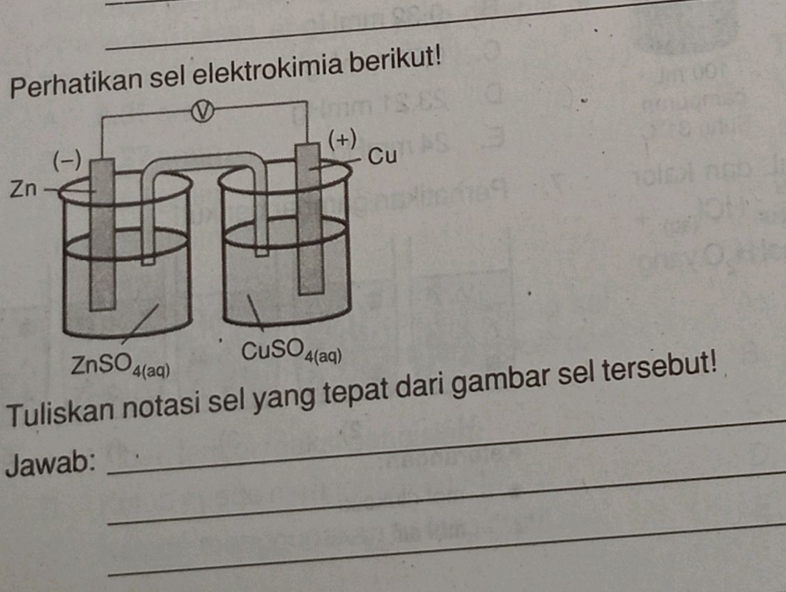 Perhatikan sel elektrokimia berikut! | StudyX