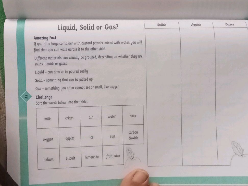 Liquid, Solid or Gas? Challenge Sort the | StudyX