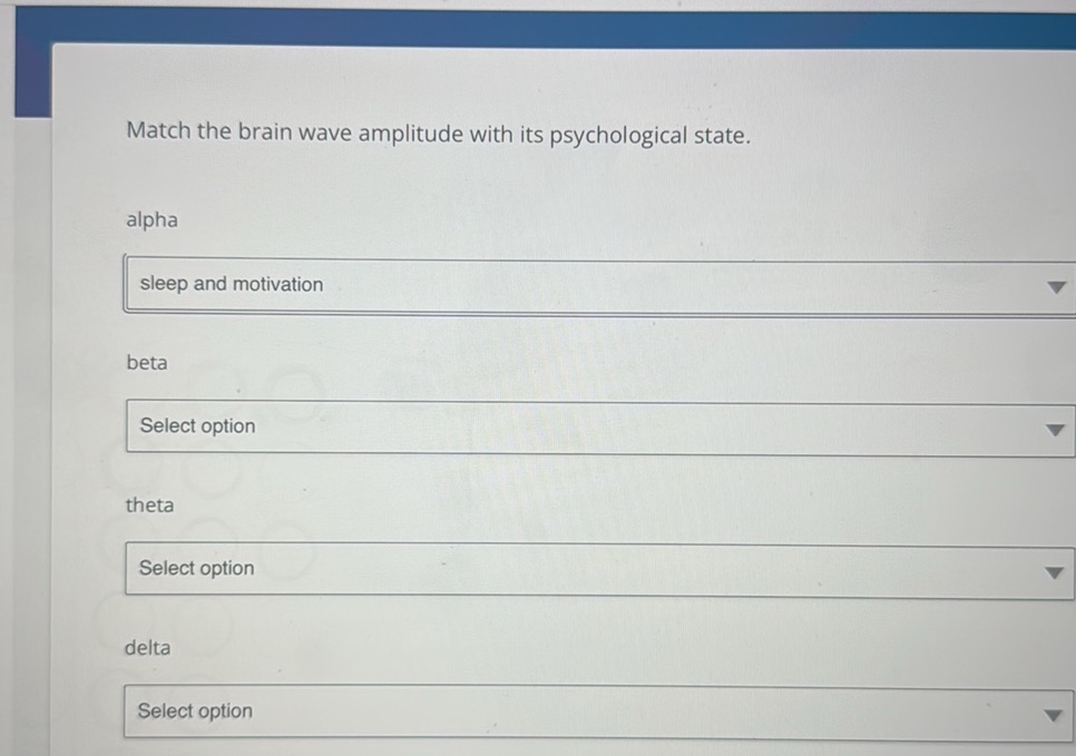 Match the brain wave amplitude with its