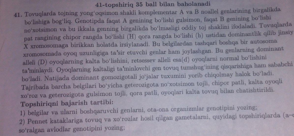Tovuqlarda tojning yong'oqsimon shakli