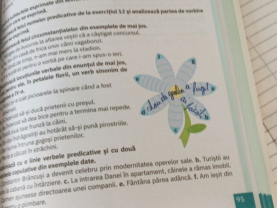 Verbele predicative și copulative | StudyX