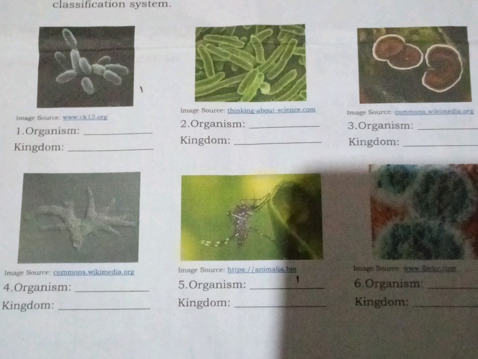 classification system. 1.Organism: | StudyX