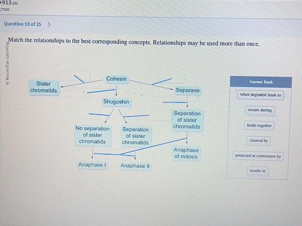 Match the relationships to the best | StudyX