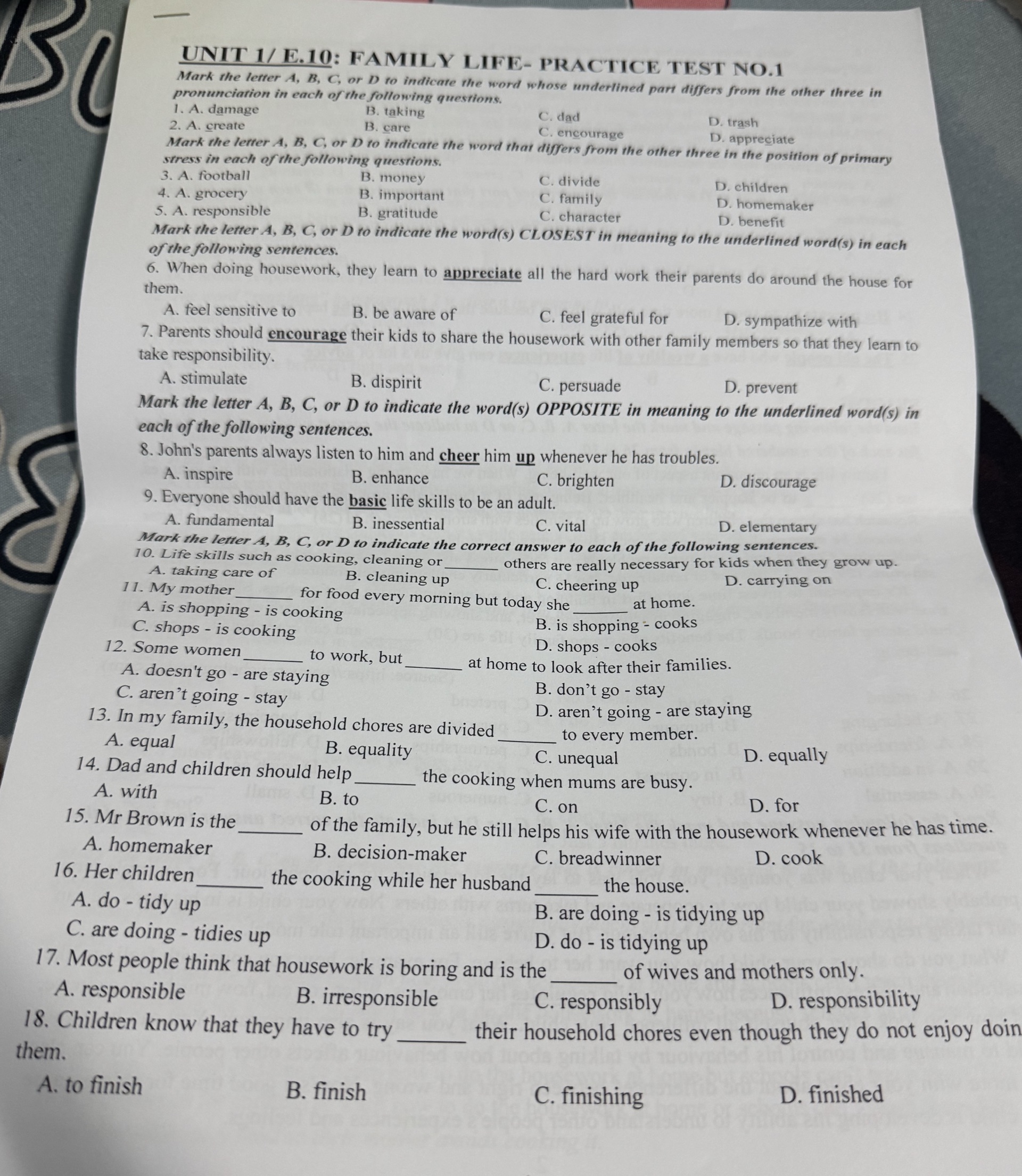 UNIT 1/ E.10: FAMILY LIFE- PRACTICE TEST | StudyX
