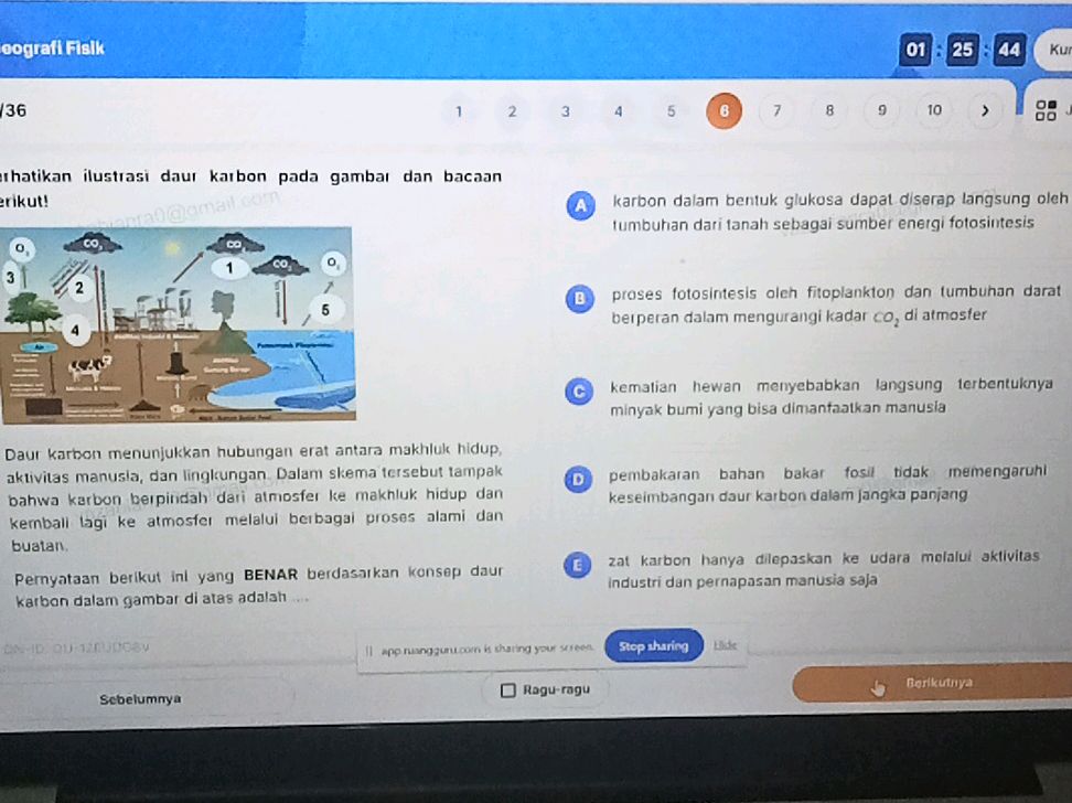 Perhatikan ilustrasi daur karbon pada gambar | StudyX