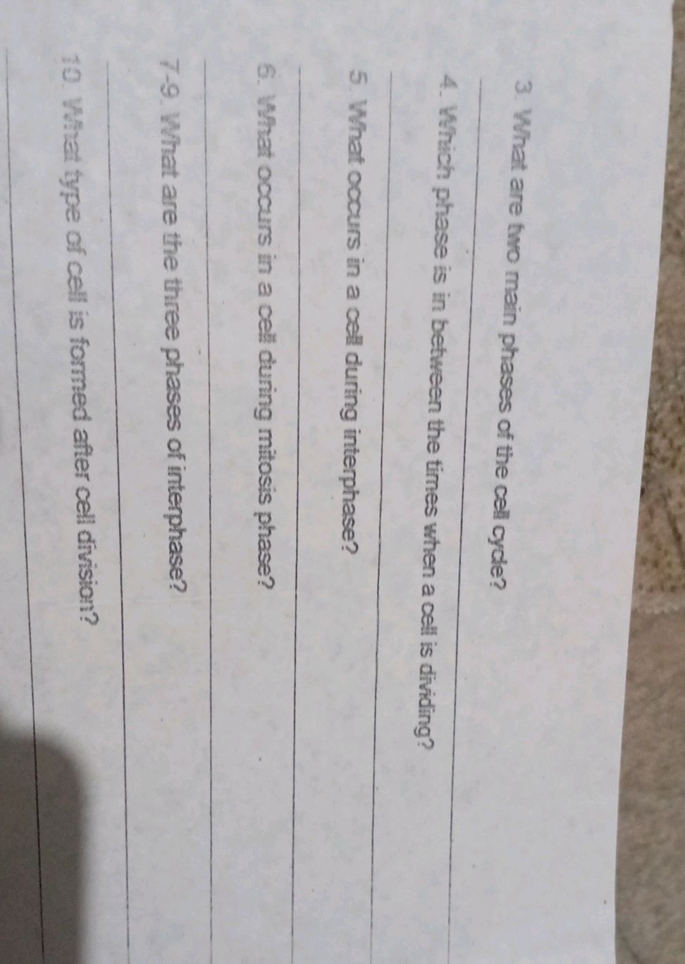 What are two main phases of the cell cycle?