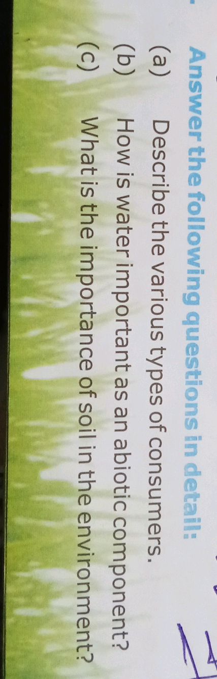 Answer the following questions in detail: | StudyX