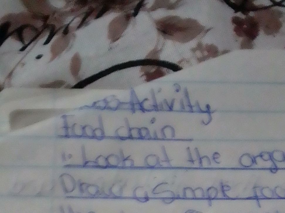 Activity Food chain - Look at the organisms | StudyX