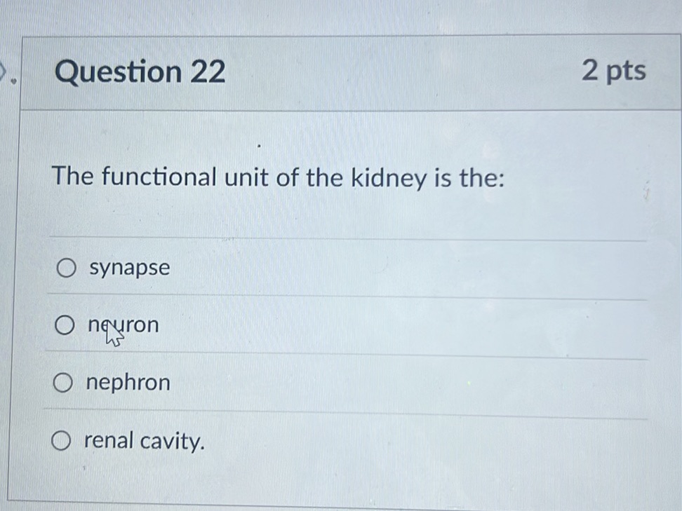 Question 22 The functional unit of the | StudyX