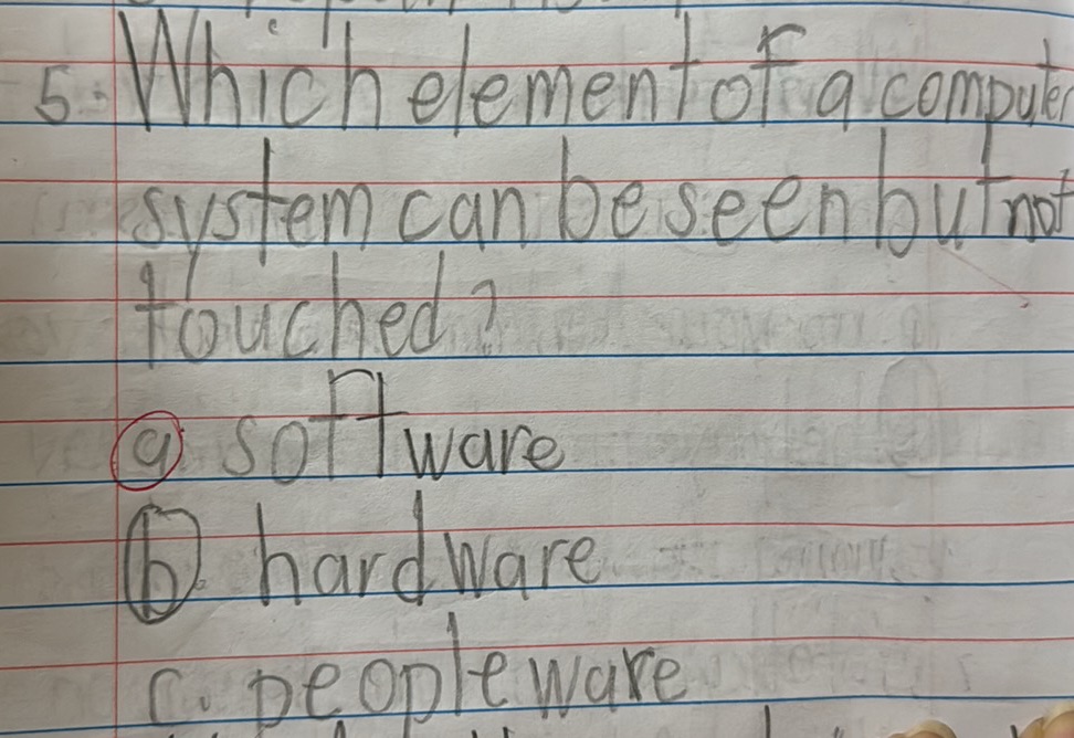 Which element of a computer system can be