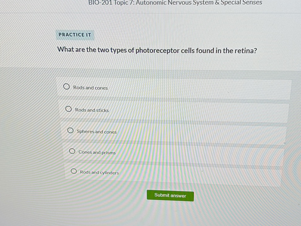 What are the two types of photoreceptor | StudyX