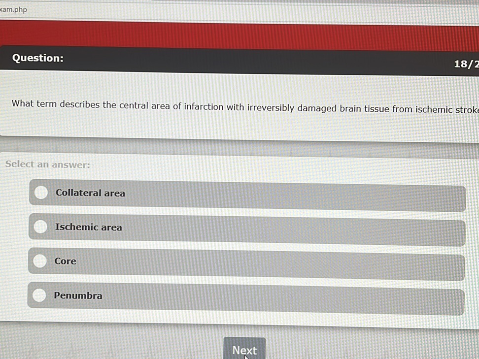 What term describes the central area of | StudyX