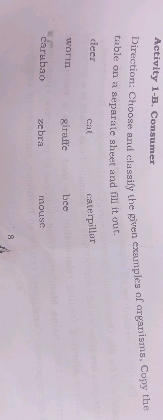 Activity 1-B. Consumer Direction: Choose | StudyX